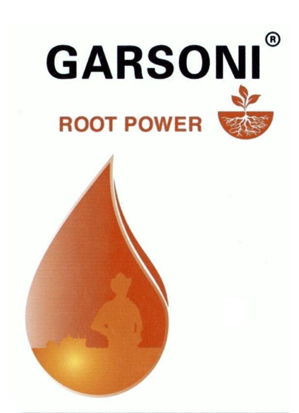 Đơn đăng ký nhãn hiệu "GARSONI ROOT POWER" số 4-2017-09086 của Công ty ...