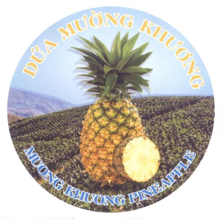 Đơn đăng ký nhãn hiệu "Dứa Mường Khương MUONG KHUONG PINEAPPLE" số 4 ...