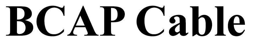 Đơn đăng ký nhãn hiệu "BCAP Cable" số 4-2020-12718 của Công ty TNHH cáp ...