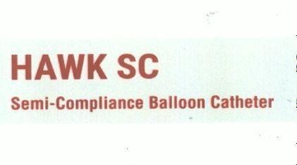 Đơn đăng ký nhãn hiệu "HAWK SC Semi-Compliance Balloon Catheter" số 4 ...