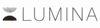 Đơn đăng ký nhãn hiệu "LUMINA" số 4-2023-47669 của Công ty cổ phần ...