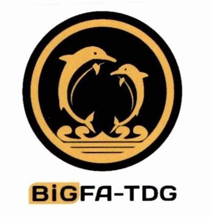 "BiGFA-TDG" Trademark application no 4-2025-04749 of CÔNG TY CỔ PHẦN ...